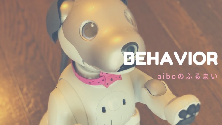 【aiboのしぐさ】起動時いつも以上によろこぶ時があります｜Fun!Fun!aibo