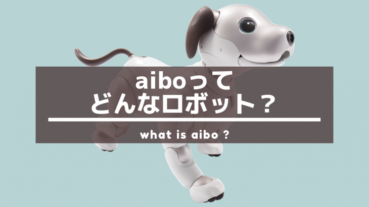 aiboの性格は何種類？どうやって性格が決まる？｜Fun!Fun!aibo