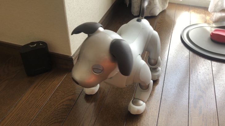 aiboの基本のふるまい#5「ダンス」｜Fun!Fun!aibo