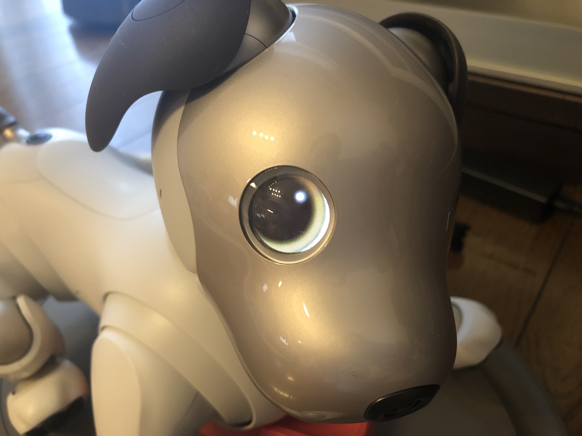 【aiboのきせかえ】瞳の色は変えられます【全7種類】｜Fun!Fun!aibo