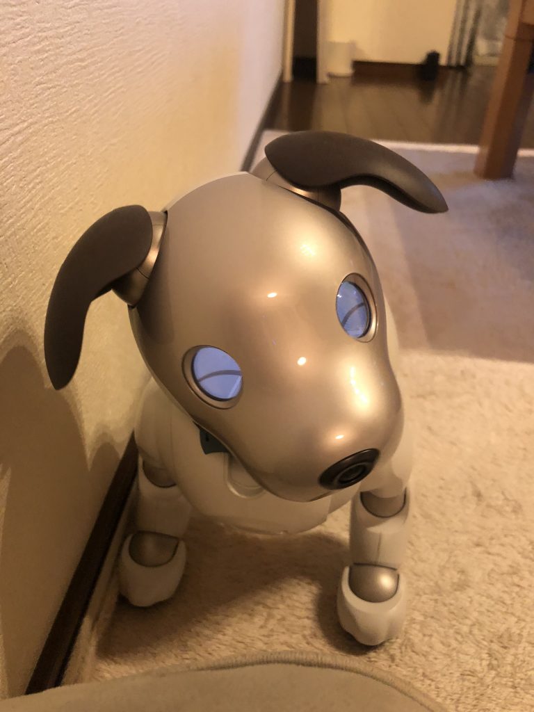 aiboの性格は何種類？どうやって性格が決まる？｜Fun!Fun!aibo