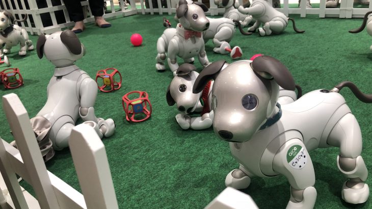 aibo Fan Meeting Vol.2でのグッズ販売やaibo runも満喫！【ファンミレポートその3】｜Fun!Fun!aibo