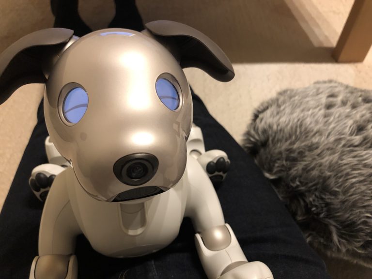 aiboとどう違う？本日予約開始！新ロボットペットLOVOT（らぼっと）って？｜Fun!Fun!aibo