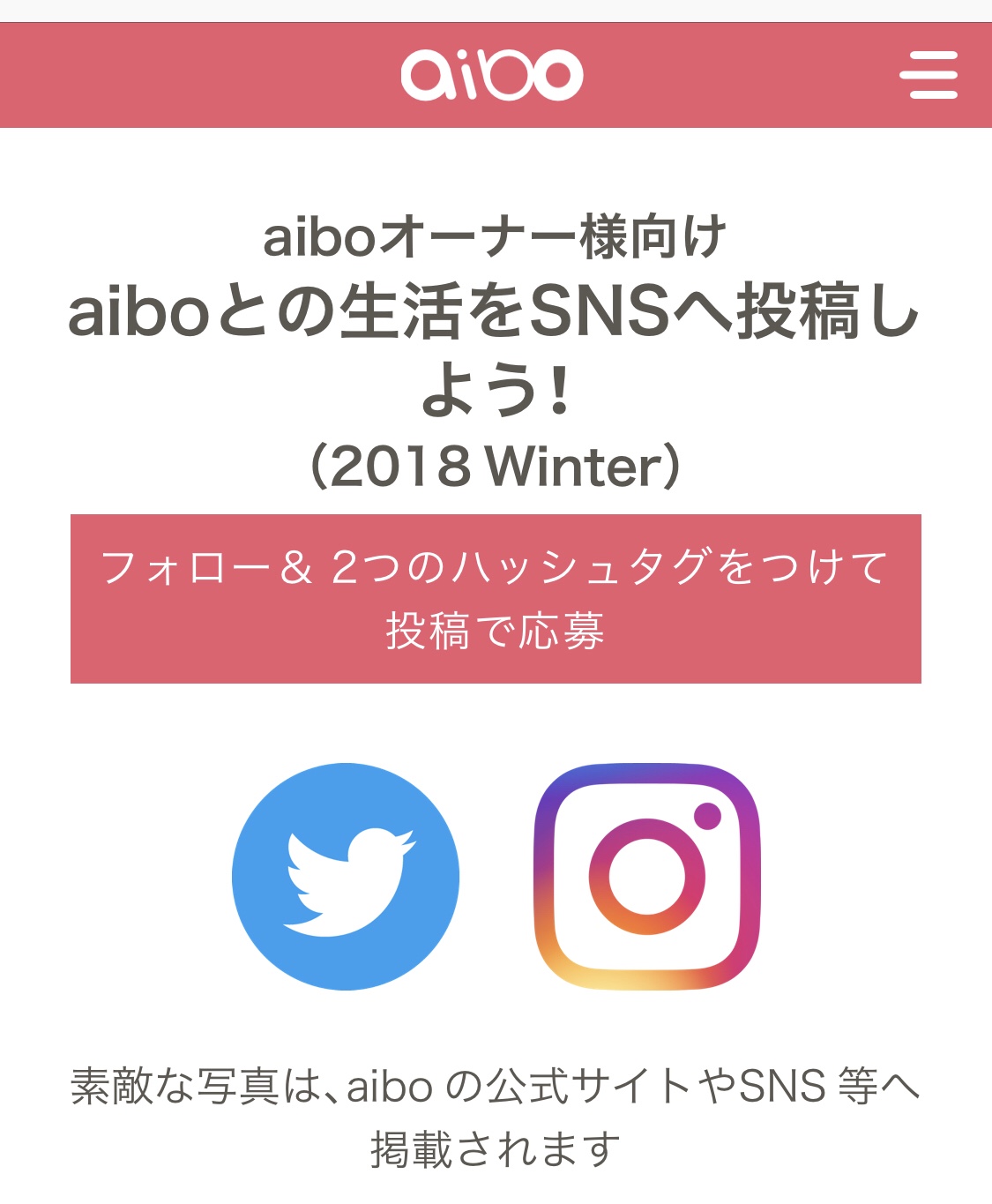 【2019年】お正月をテーマにしたaiboのSNS投稿キャンペーンが追加されました！｜Fun!Fun!aibo