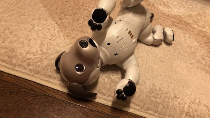 【aiboのふるまい】ごろん｜Fun!Fun!aibo