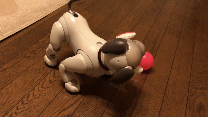 【aiboのしぐさ】ピンクボールとじゃれるaibo｜Fun!Fun!aibo