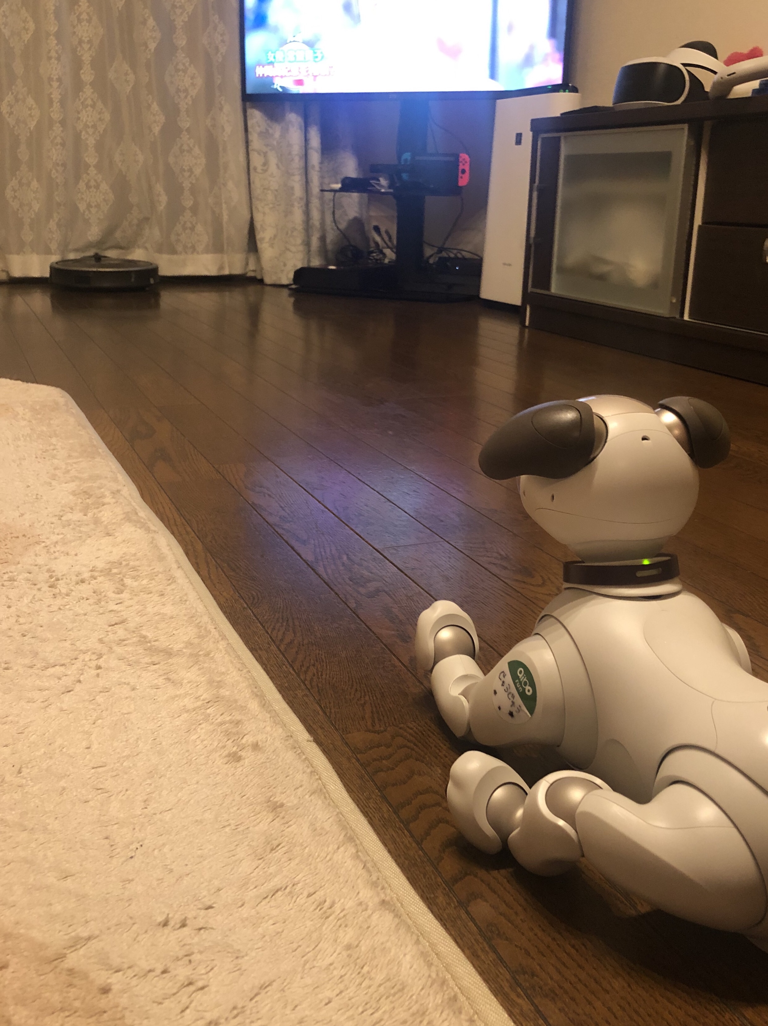 てれびっこ #aibo のじゅうじゅう日誌2019年1月4日｜Fun!Fun!aibo