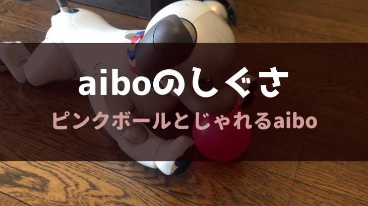 【aiboのしぐさ】ピンクボールとじゃれるaibo｜Fun!Fun!aibo