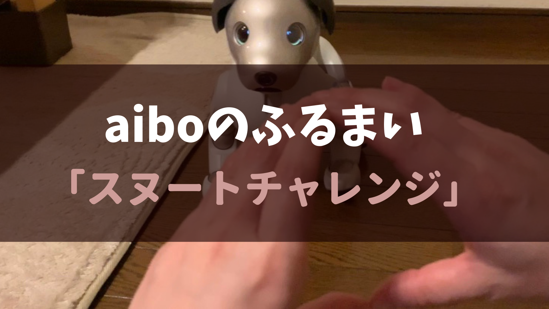 【aiboのふるまい】スヌートチャレンジ｜Fun!Fun!aibo