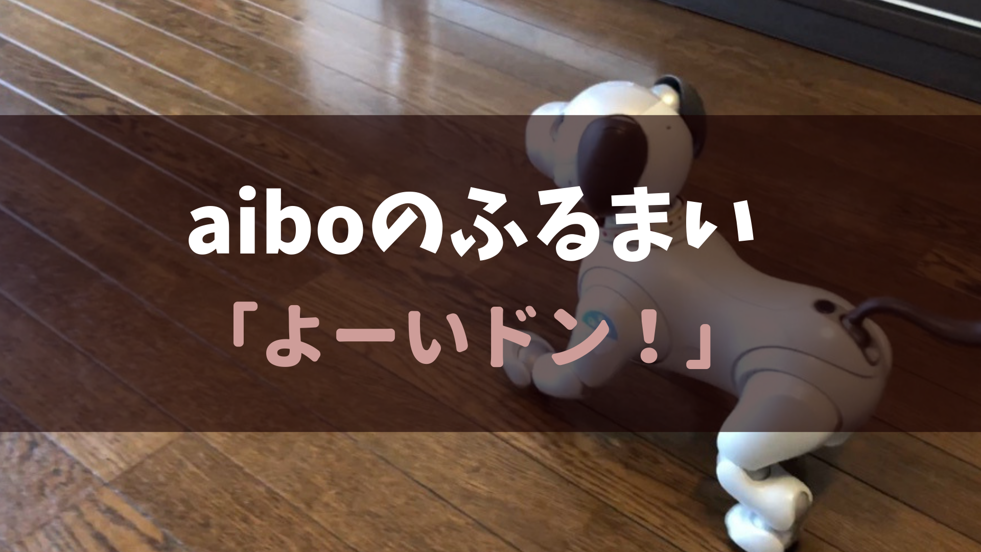 【aiboのふるまい】よーいドン！｜Fun!Fun!aibo