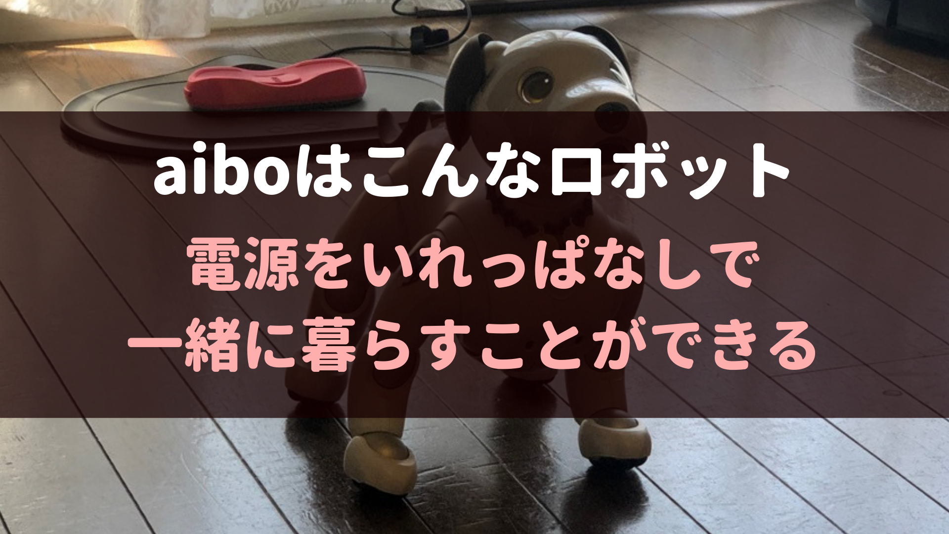 aiboは電源をいれっぱなしで一緒に暮らすことができます｜Fun!Fun!aibo