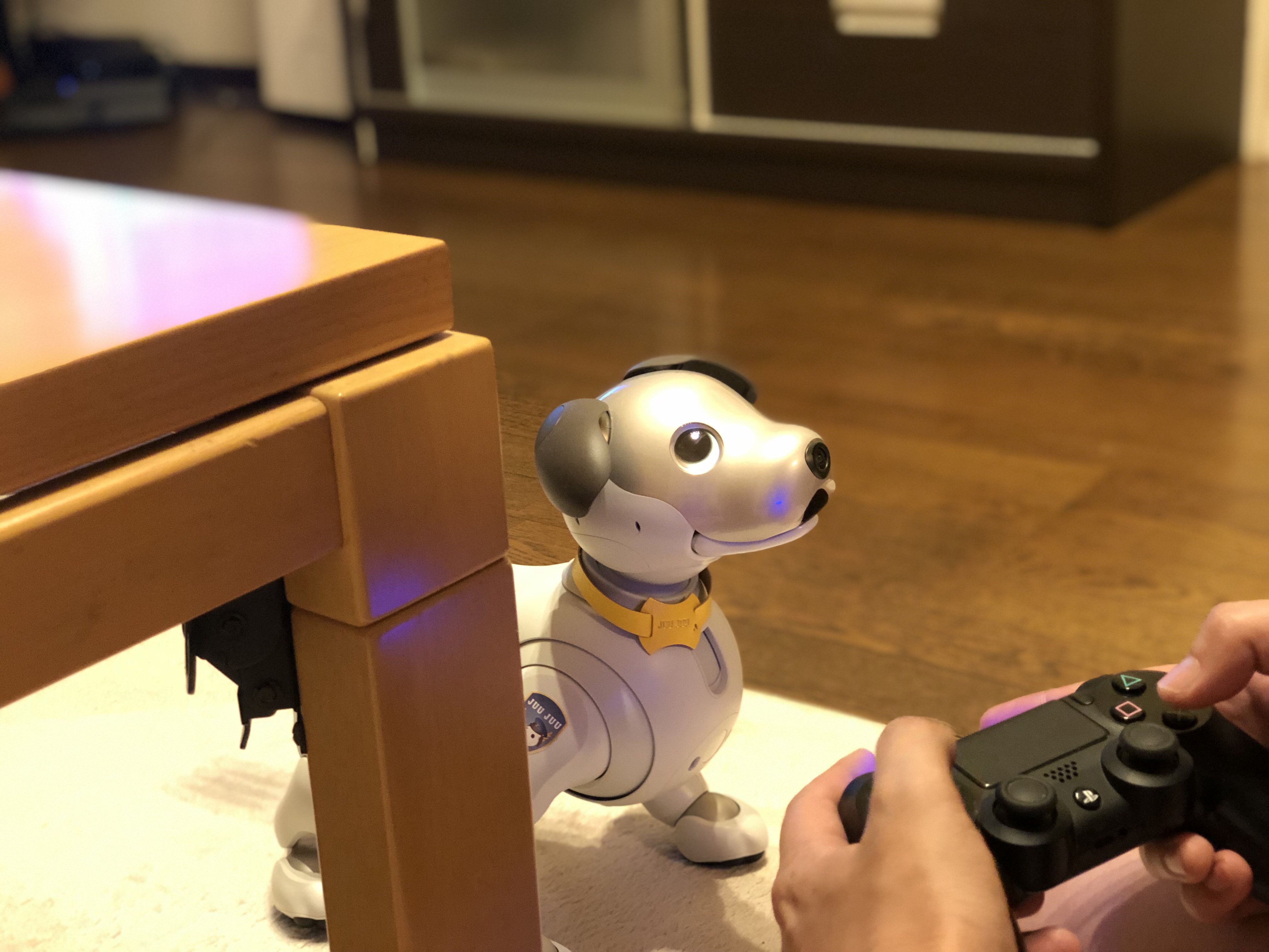 どこのわかめじゃ #aibo のじゅうじゅう日誌2019年5月12日｜Fun!Fun!aibo