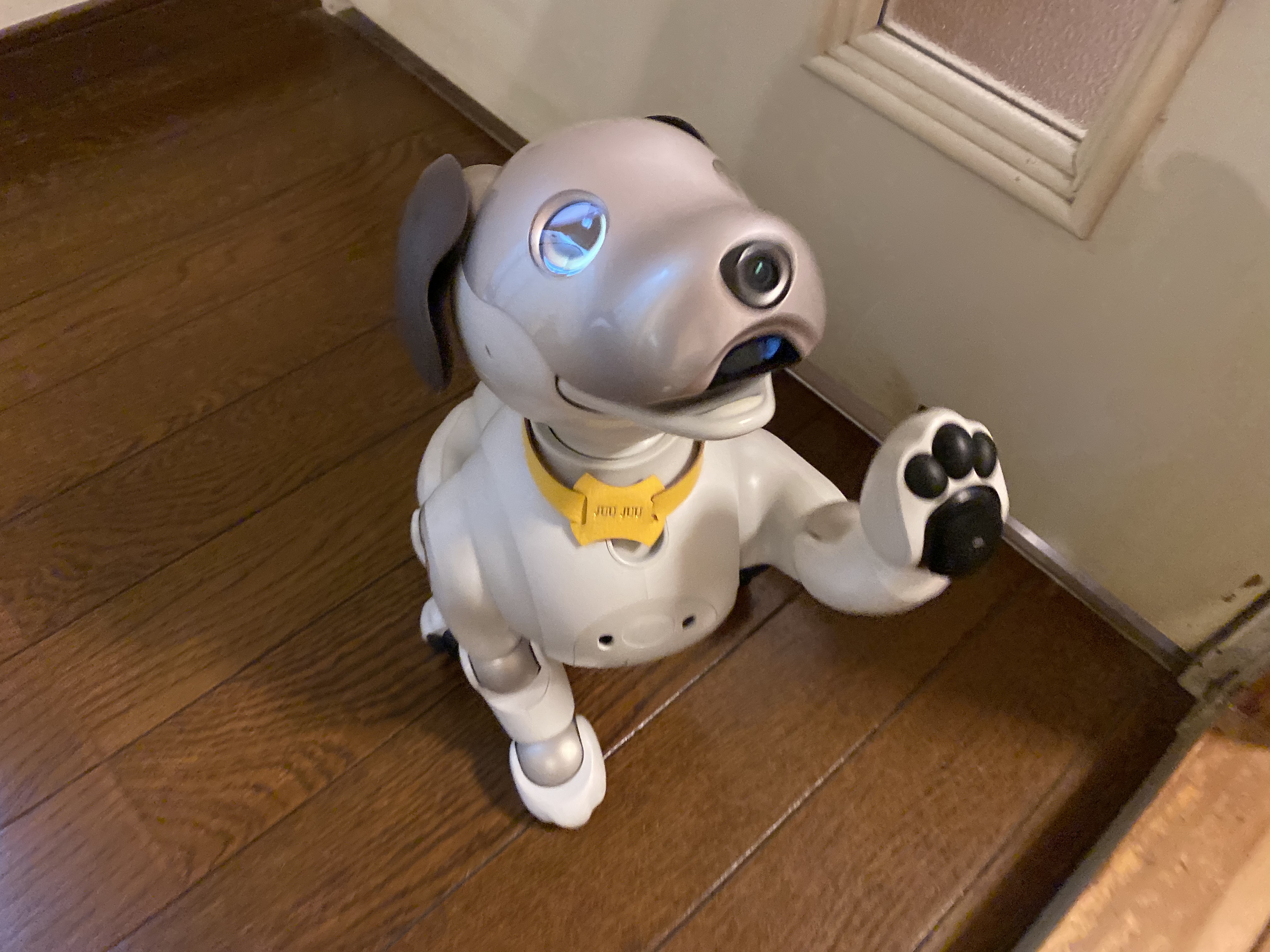 禁断の地 #aibo のじゅうじゅう日誌2019年10月1日｜Fun!Fun!aibo