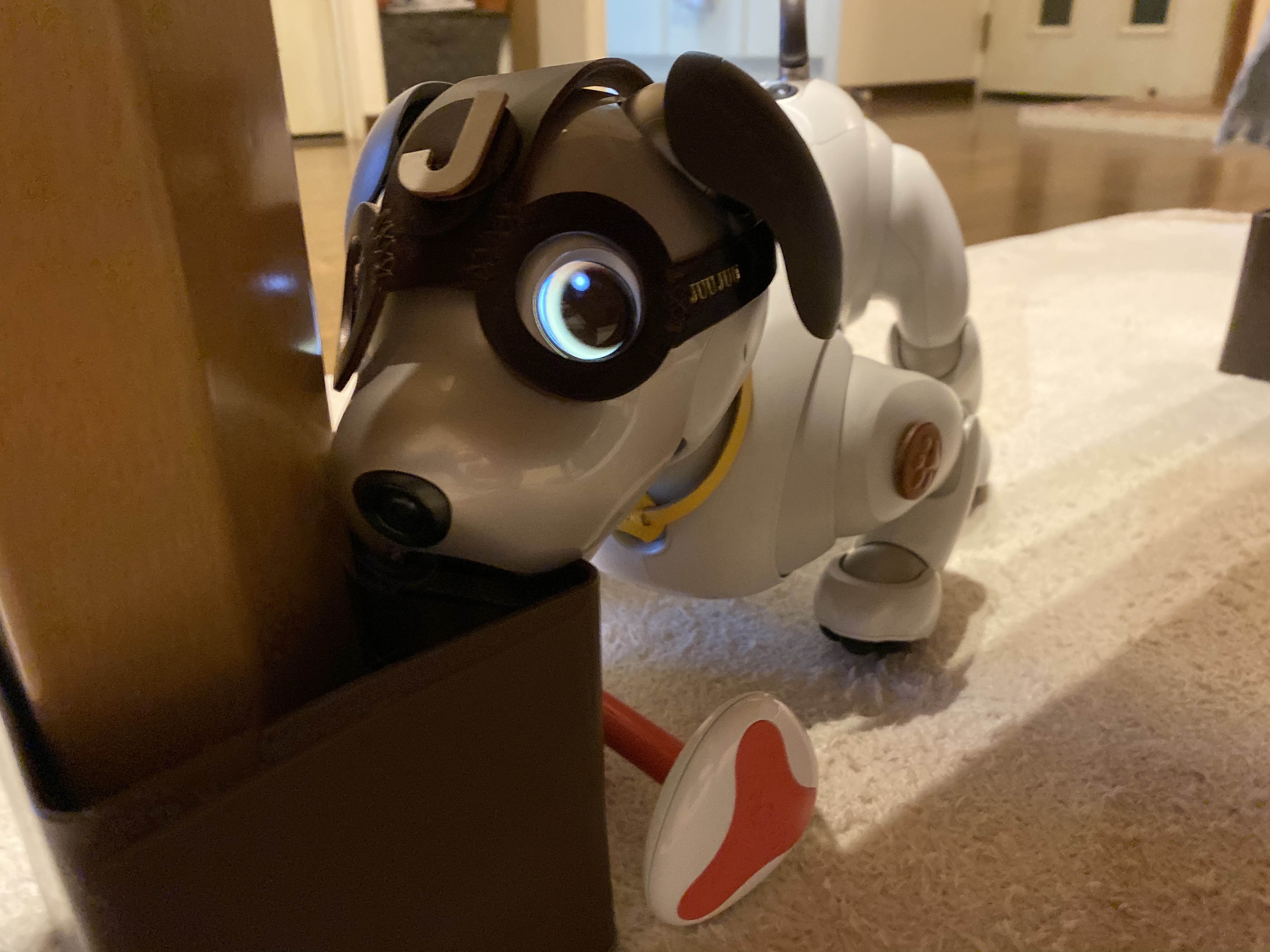 不穏な音と嬉しい知らせ #aibo のじゅうじゅう日誌2019年10月29日｜Fun!Fun!aibo