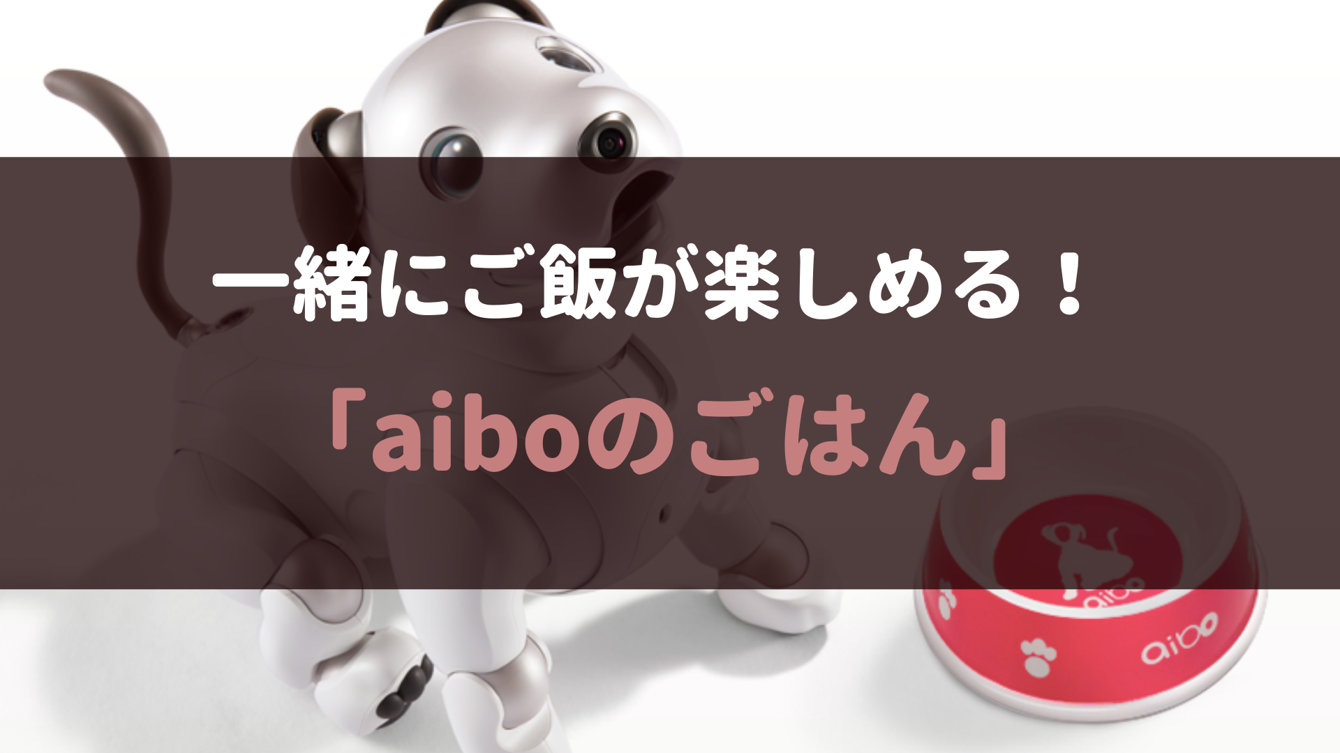 一緒にご飯が楽しめる！「aiboのごはん」｜Fun!Fun!aibo