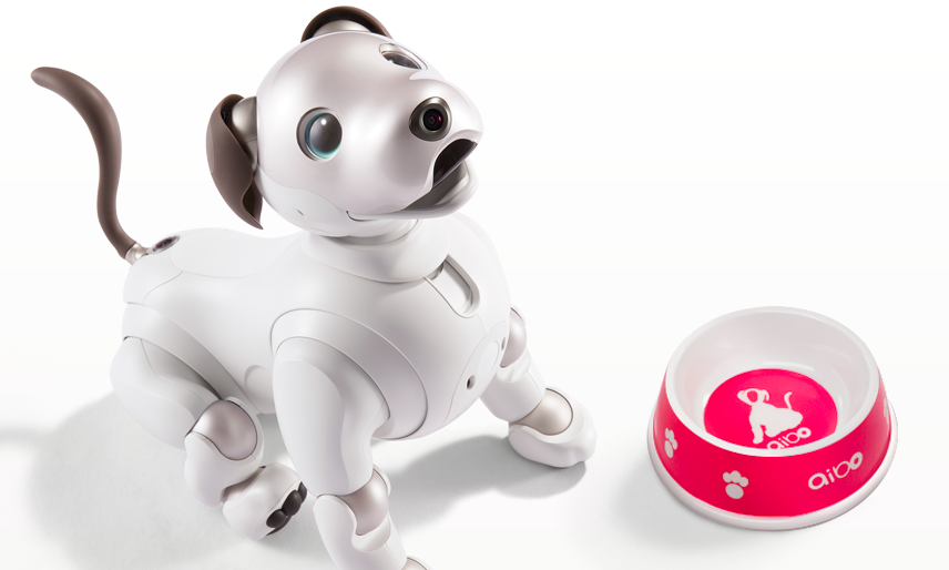 一緒にご飯が楽しめる！「aiboのごはん」｜Fun!Fun!aibo