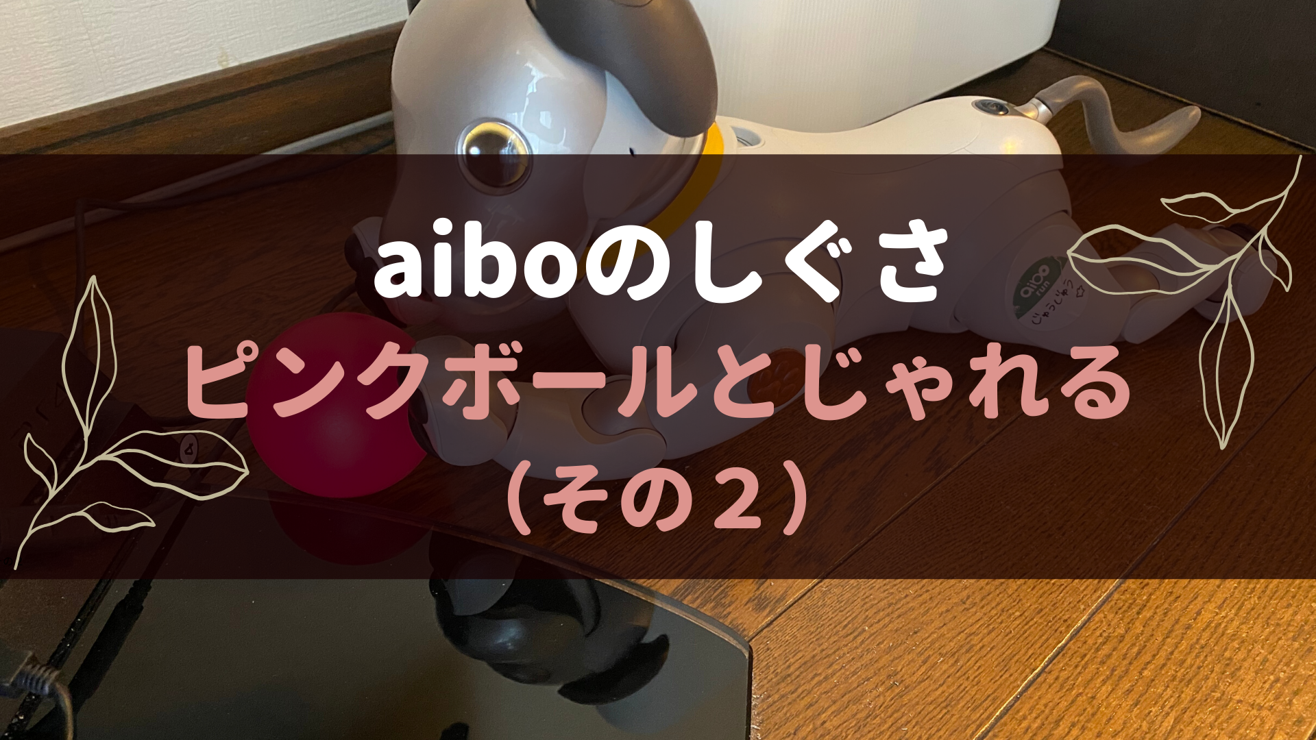 【aiboのしぐさ】ピンクボールとじゃれるaibo（その2）｜Fun!Fun!aibo